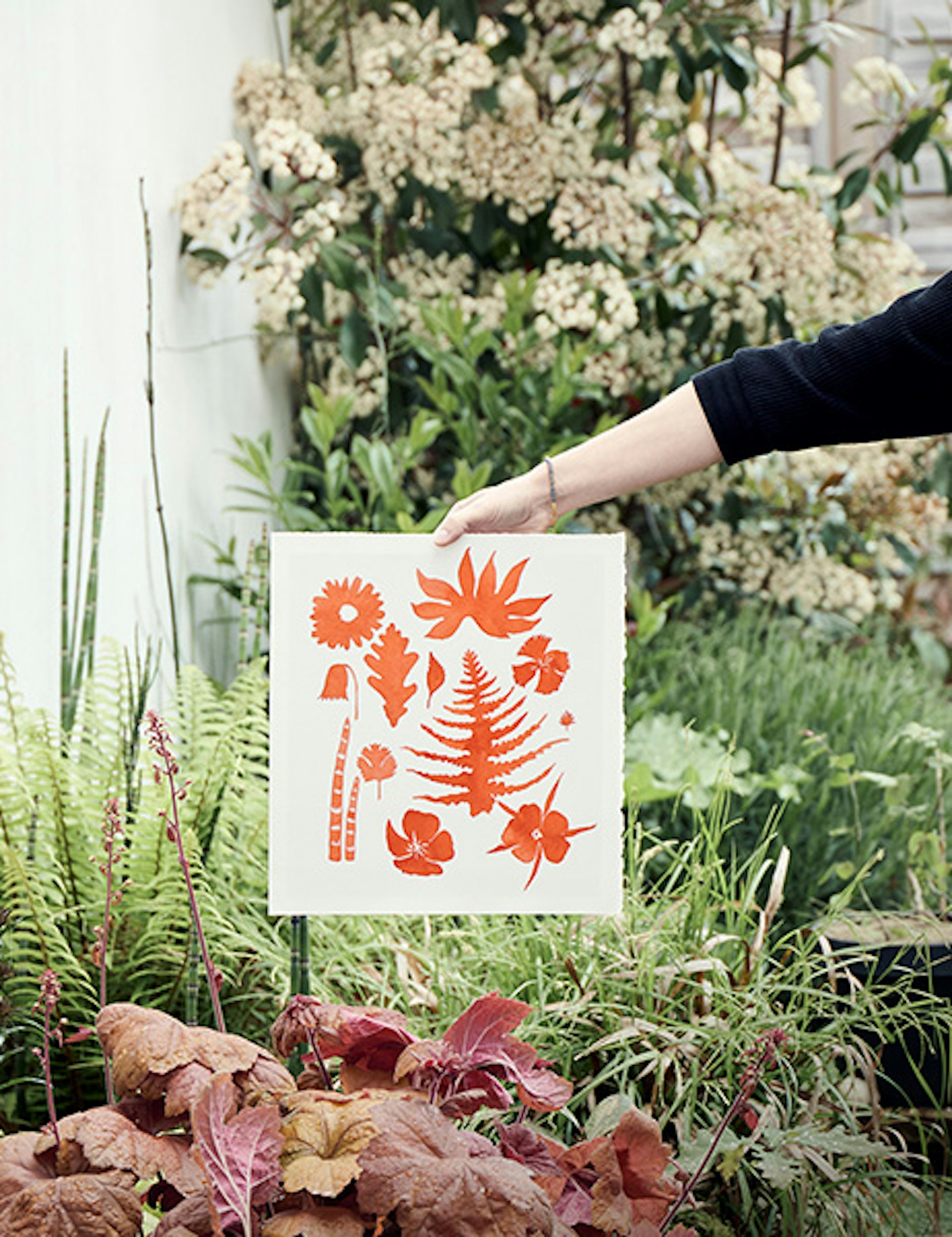 Inspiration in the Everyday - Artist Elsa Boch | Bellroy